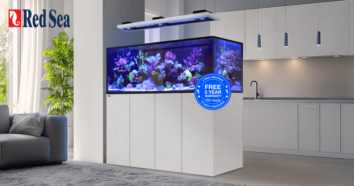 Red Sea Reefer Peninsula S-950 G3 | 950L Reef Tank Dubai